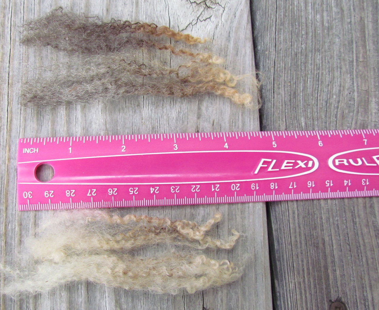 BFL locks natural ivory or colored Bluefaced Leicester Locks | Etsy