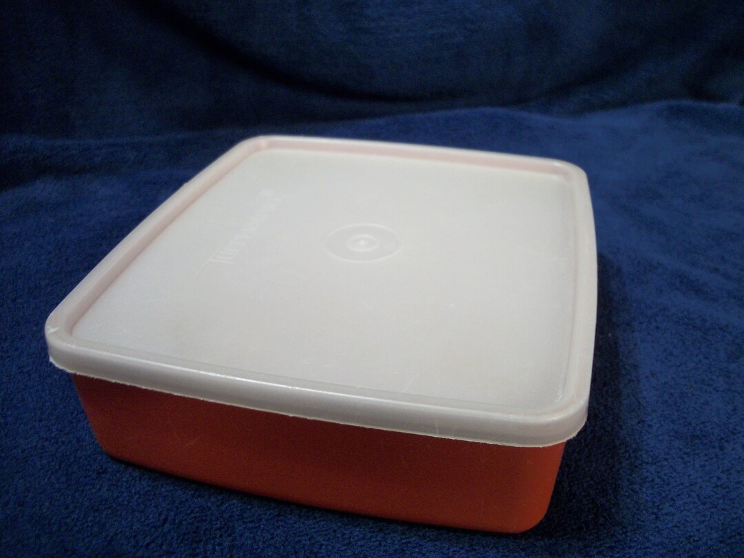 Vintage Tupperware Sandwich Container With Lid Burnt Orange - Etsy