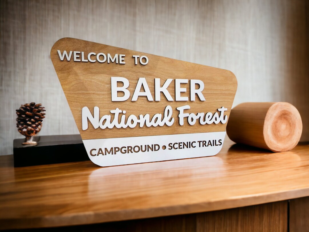 Park Style Welcome Sign - Parks System Inspired Family Name Sign ...