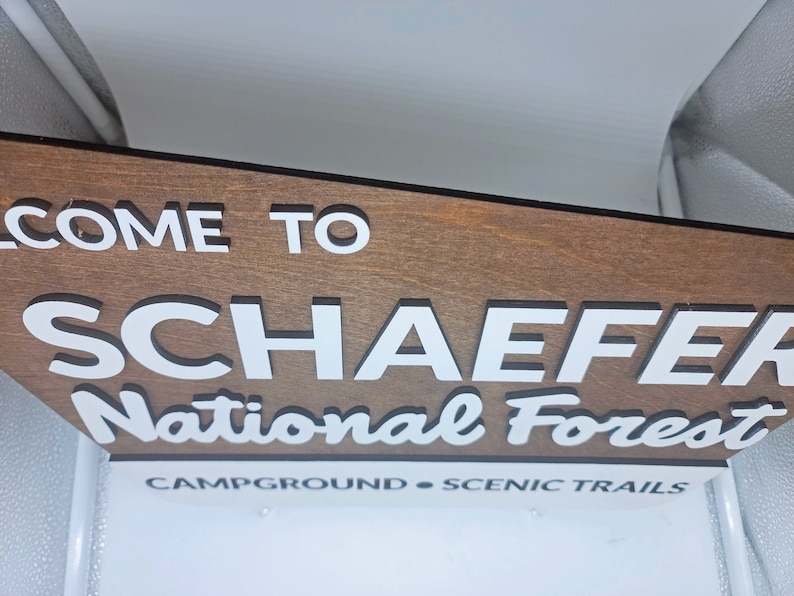 Park Style Welcome Sign Parks System Inspired Family Name | Etsy