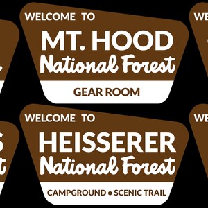 Park Style Welcome Sign Parks System Inspired Family Name Sign, Custom ...