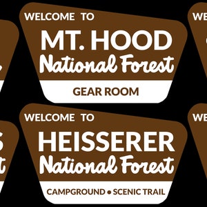 Park Style Welcome Sign - Parks System Inspired Family Name Sign ...
