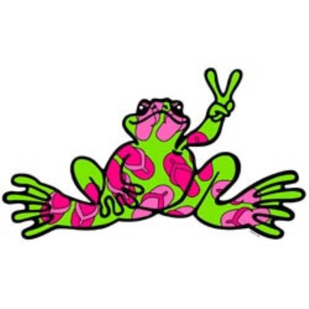 Peace Frogs Flip Flop Sticker ~ 6" X 3" ~ Made of Durable Vinyl ~ Brand ...