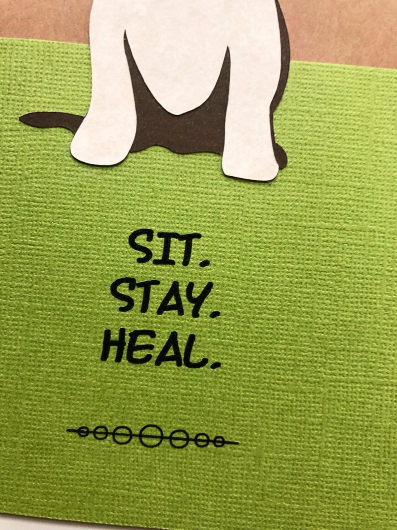 Get Well Card Sit Stay Heal This cute puppy | Etsy