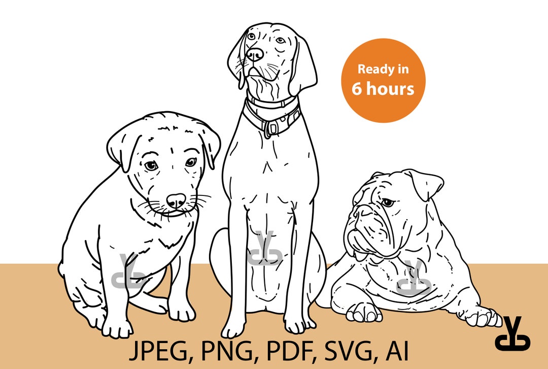 Custom Line Drawing Pet Portrait From Photo, Line Art Digital Pet ...