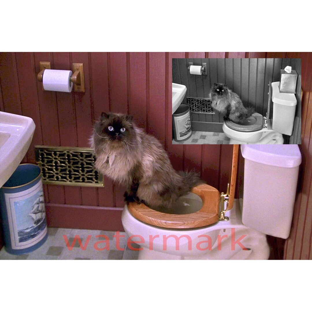 Jinx the Cat From Meet the Parents Movie Poster Print Photo - Etsy