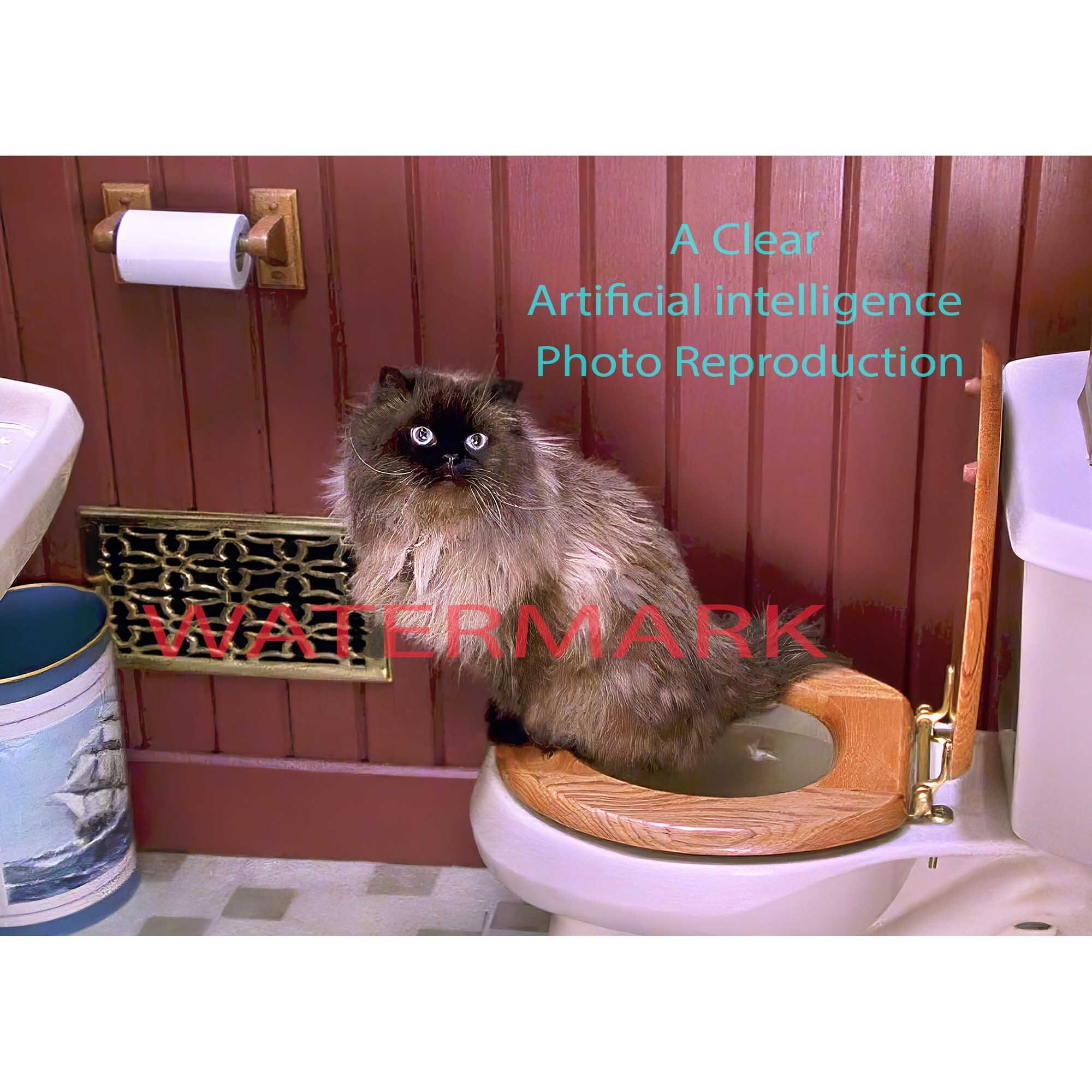 Meet The Fockers Cat