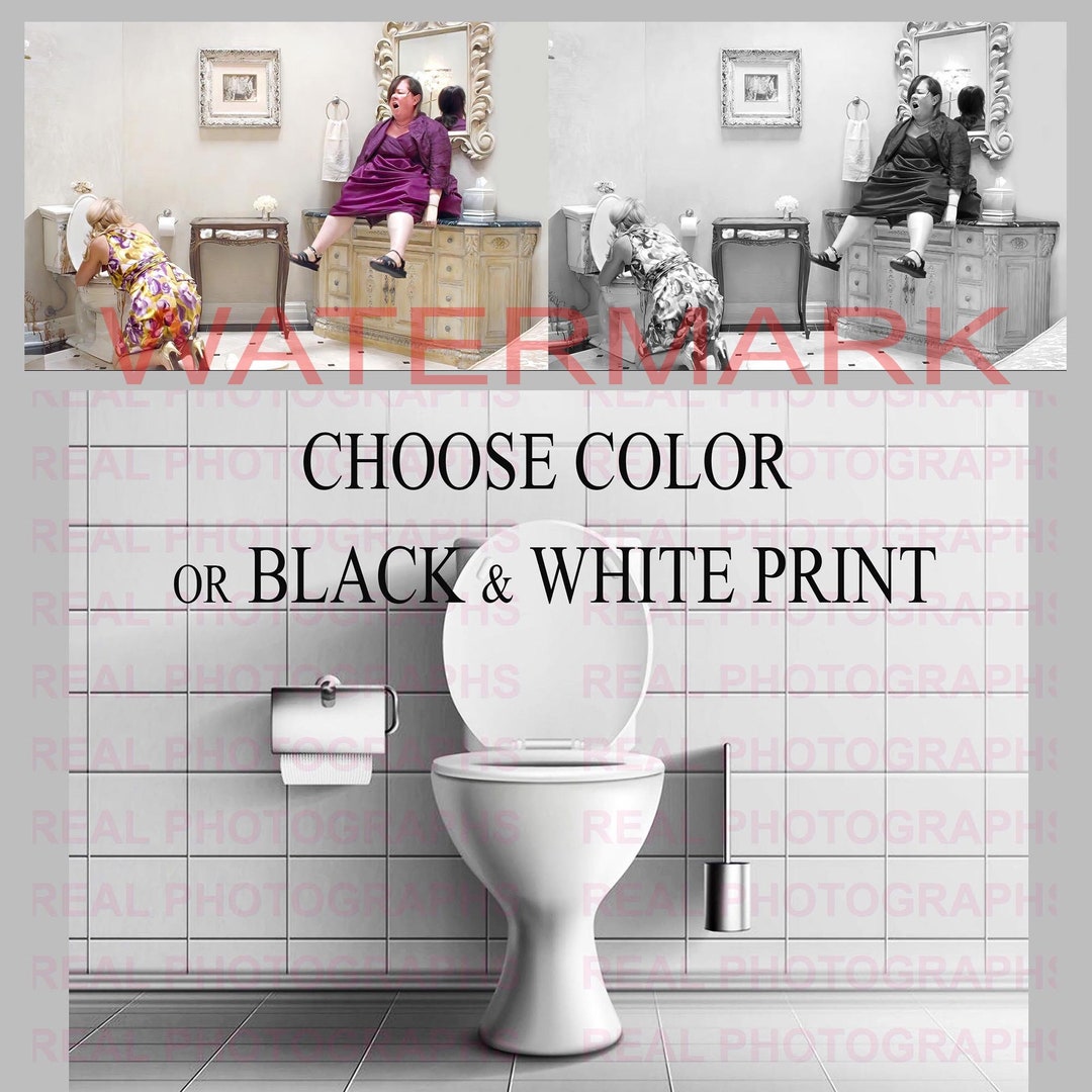 Bridesmaids Movie Print Funny Bathroom Comedy Poster Toilet Scene 2011 ...