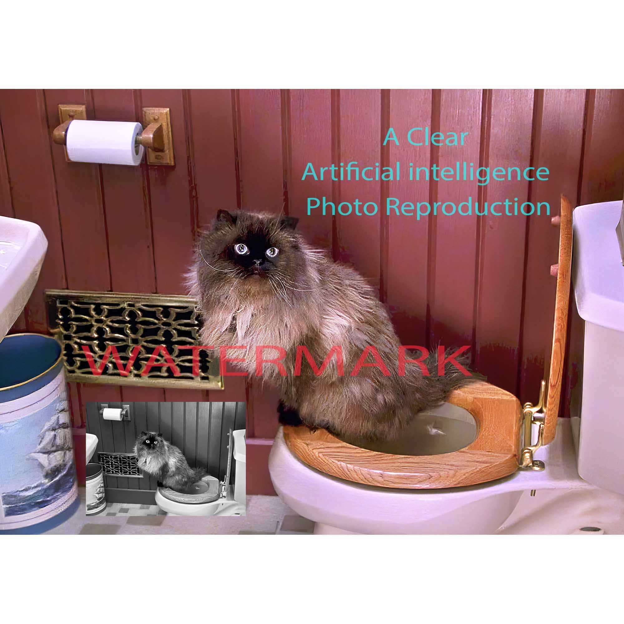 Jinx the Cat From Meet the Parents Movie Print Photo Funny - Etsy