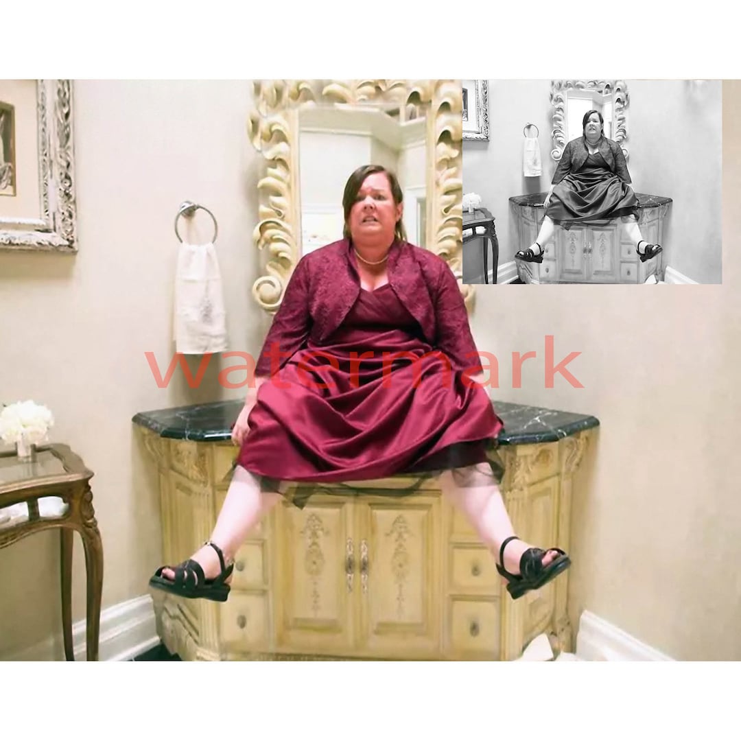 Bridesmaids Bathroom Comedy Toilet Scene Movie Melissa Mccarthy Print ...