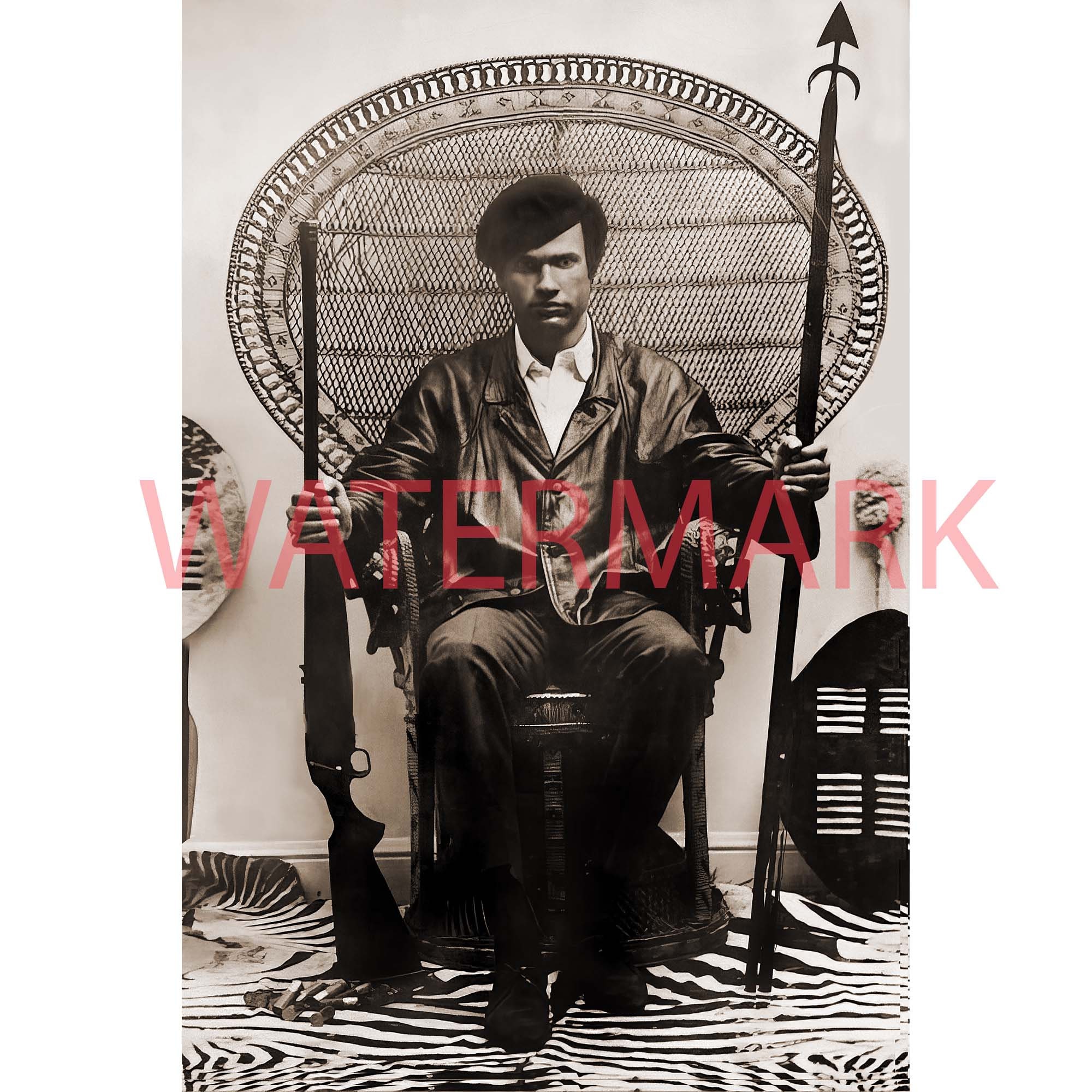 Black Panther Party Huey Newton