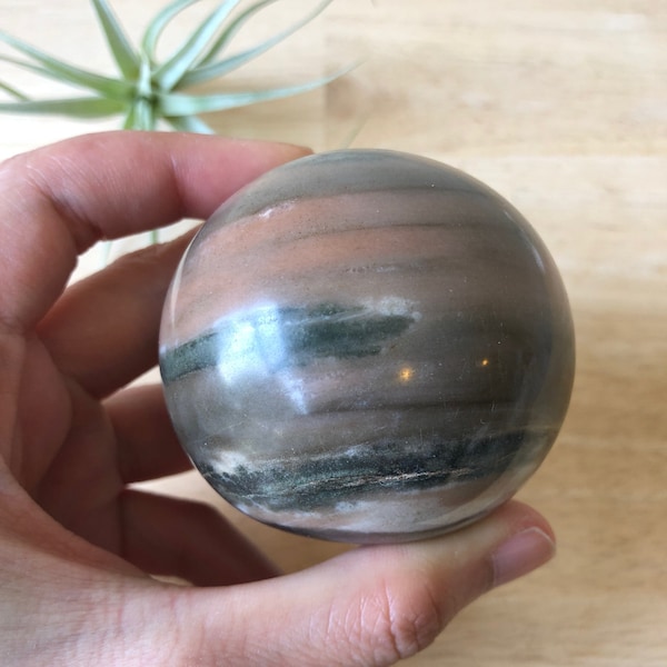 Pink Black Zebra - Etsy