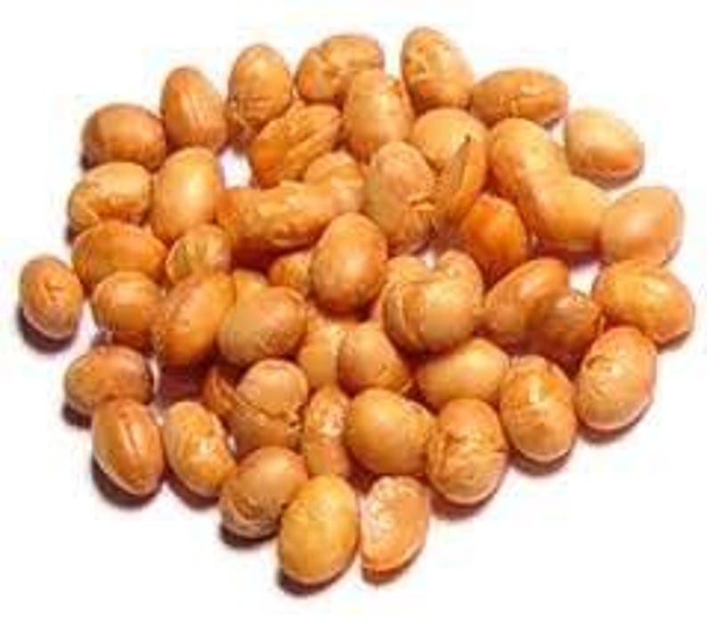 Bayside Candy Roasted Soybeans Unsalted - Soy Nuts - Soya Beans - Etsy