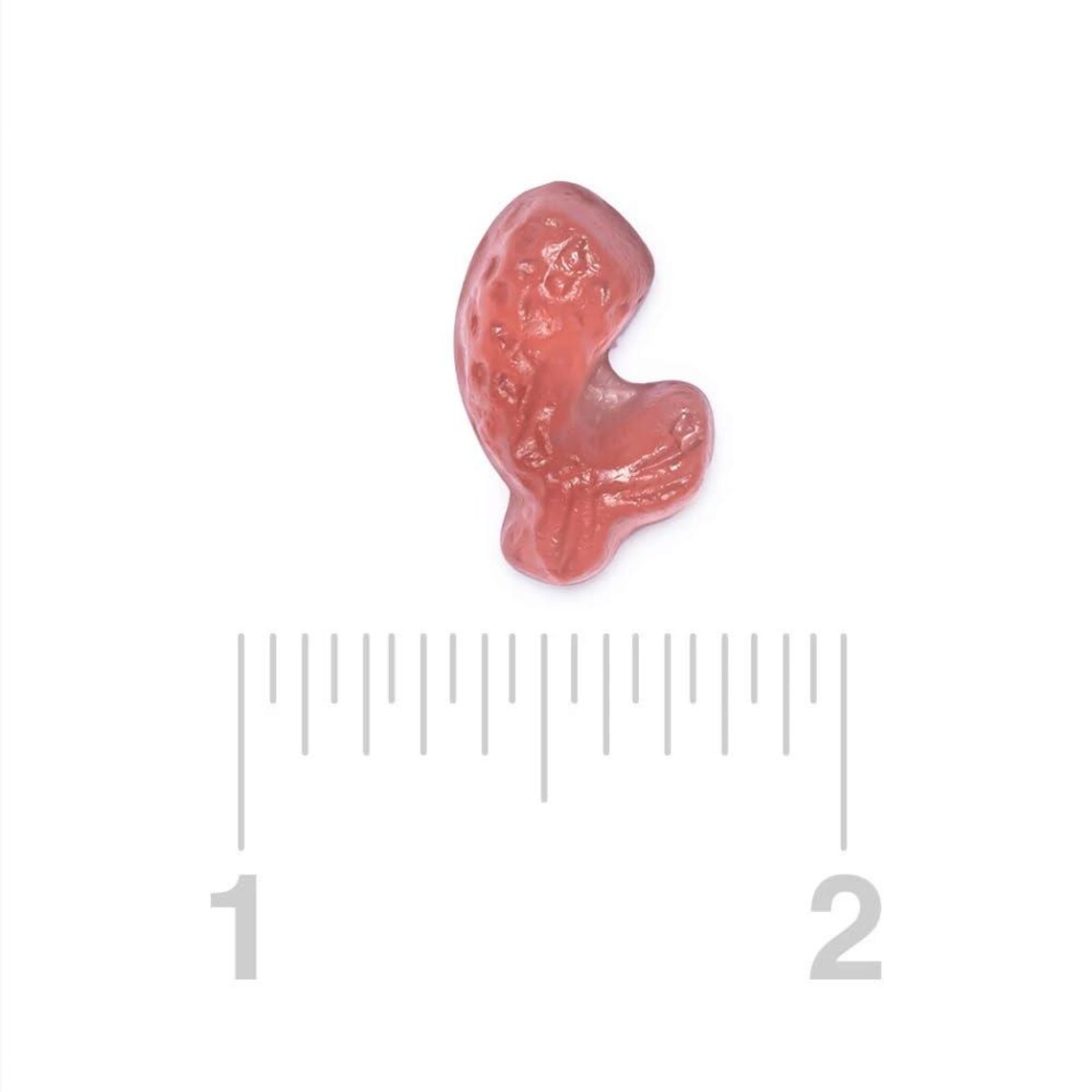 Bayside Candy Gummy Mermaid Tails Candy - Mermaid Tails Gummy Candy - Etsy