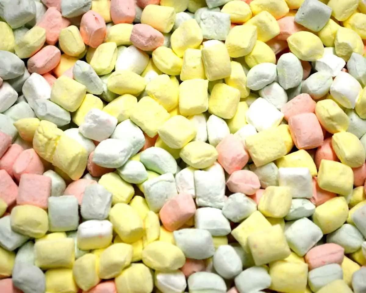 Bayside Candy Mints Collection Assorted After Dinner Pastel Mints - Etsy