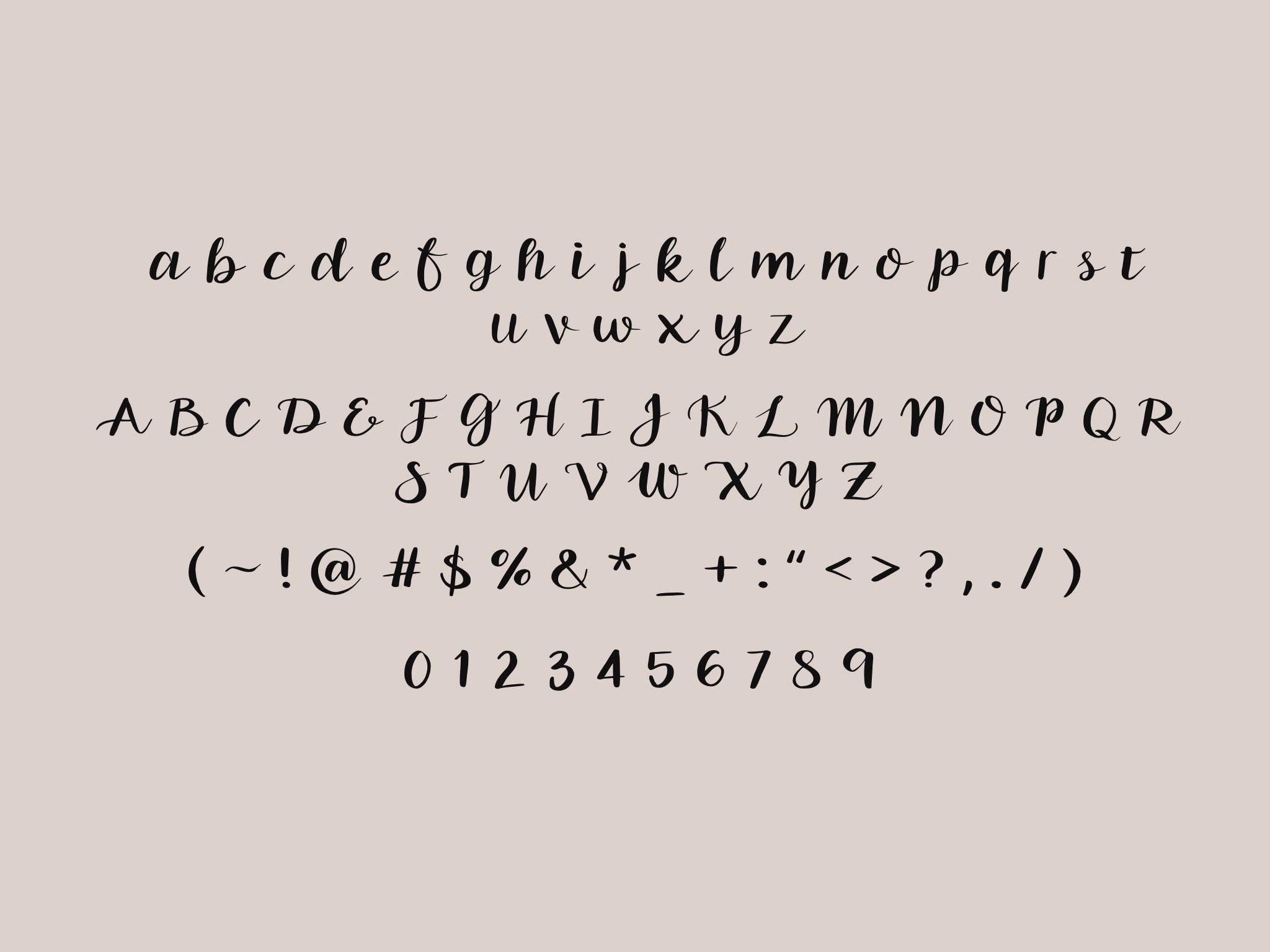 Emily Font Handwritten Font Calligraphy Font Brush | Etsy