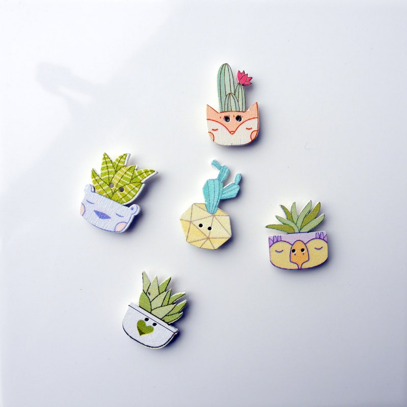 Succulent Magnet - Etsy