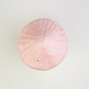 Aquarium Decor Handmade Small Fish Hide Ceramic Decor - Etsy