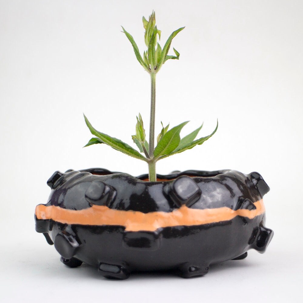 Ceramic Planter Flower Pots Housewarming Gift Black Ceramic | Etsy