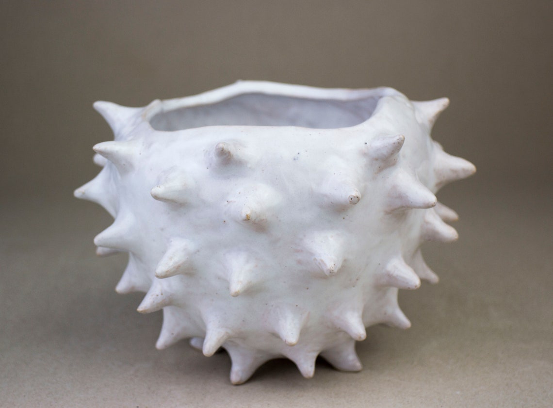 Ceramic planter flower pots Housewarming gift White ceramic | Etsy