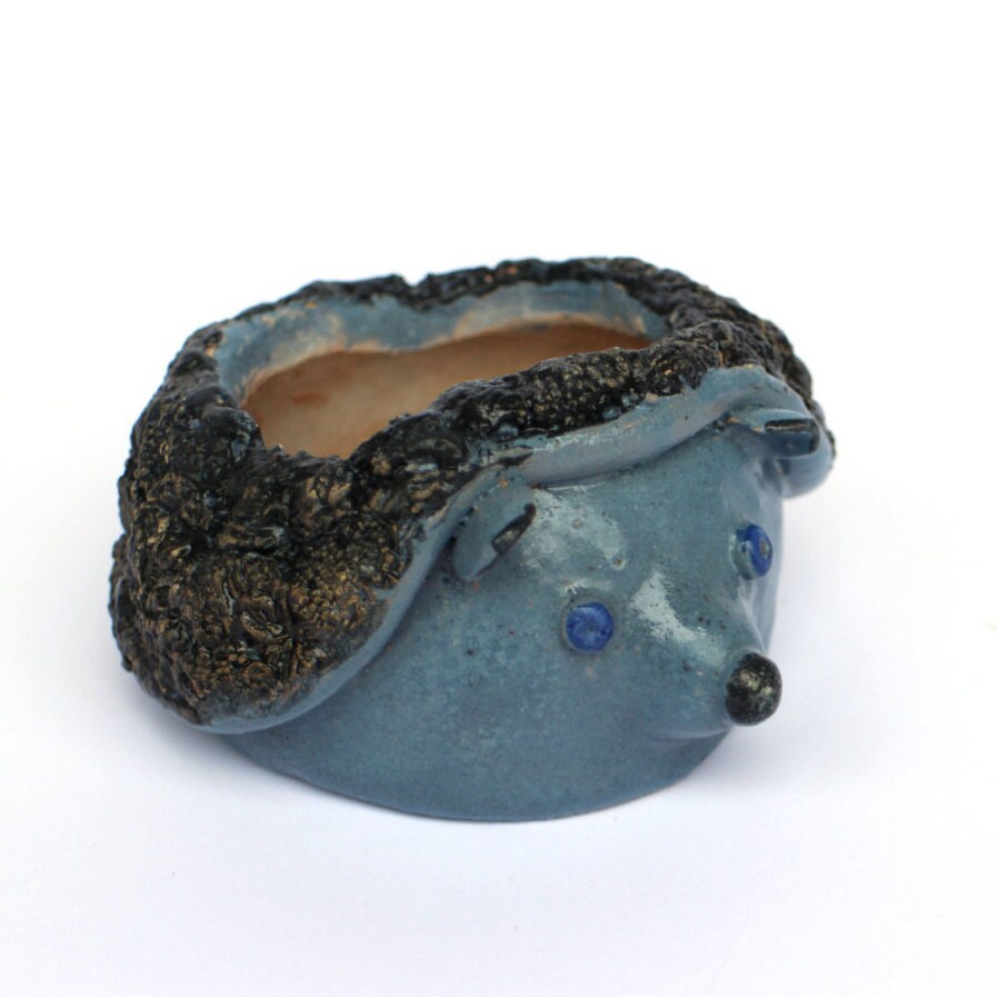 Ceramic Handmade Planter Hedgehog for Plants Succulent Pot - Etsy