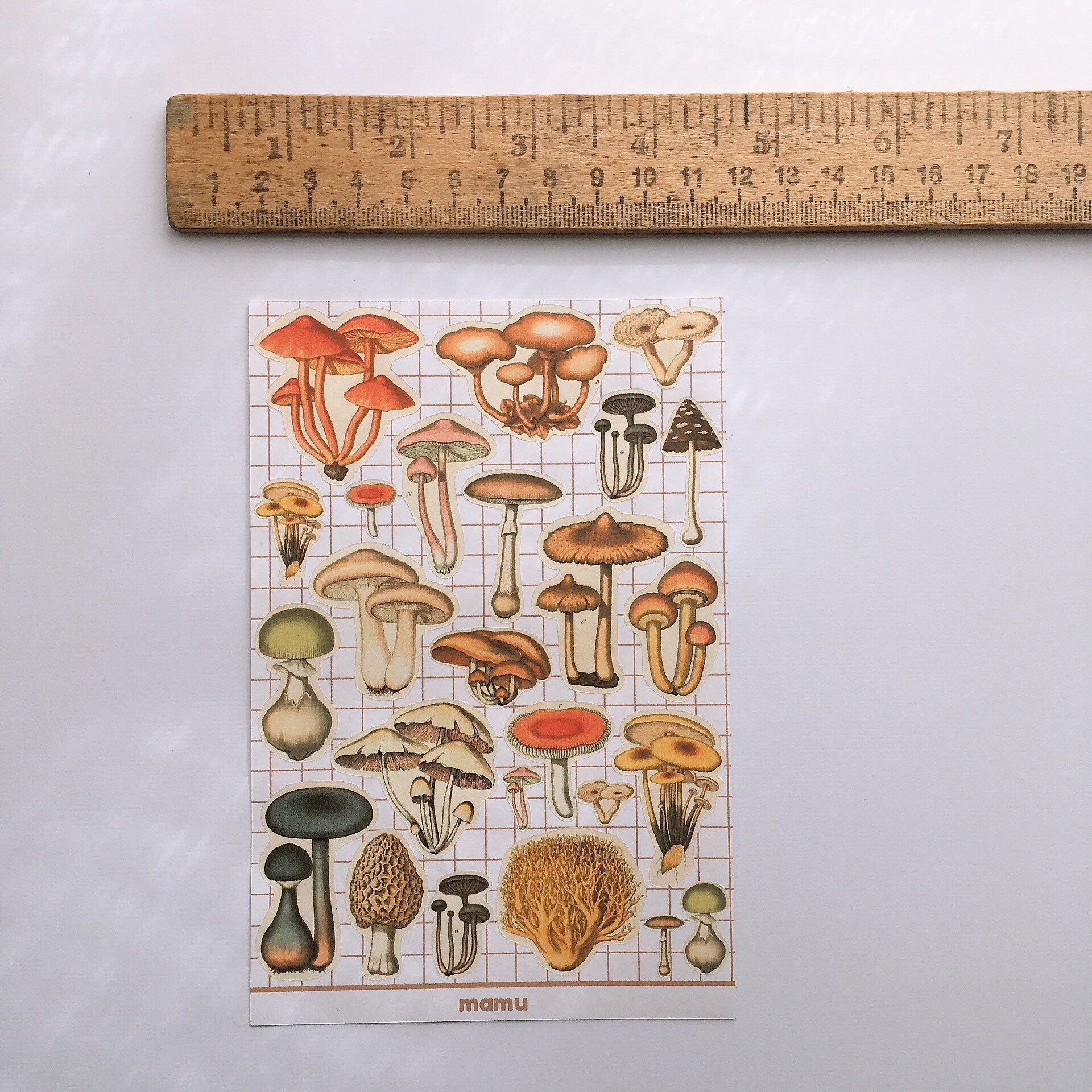 Vintage Mushroom Sticker Sheet Antique Inspired Junk Journal - Etsy
