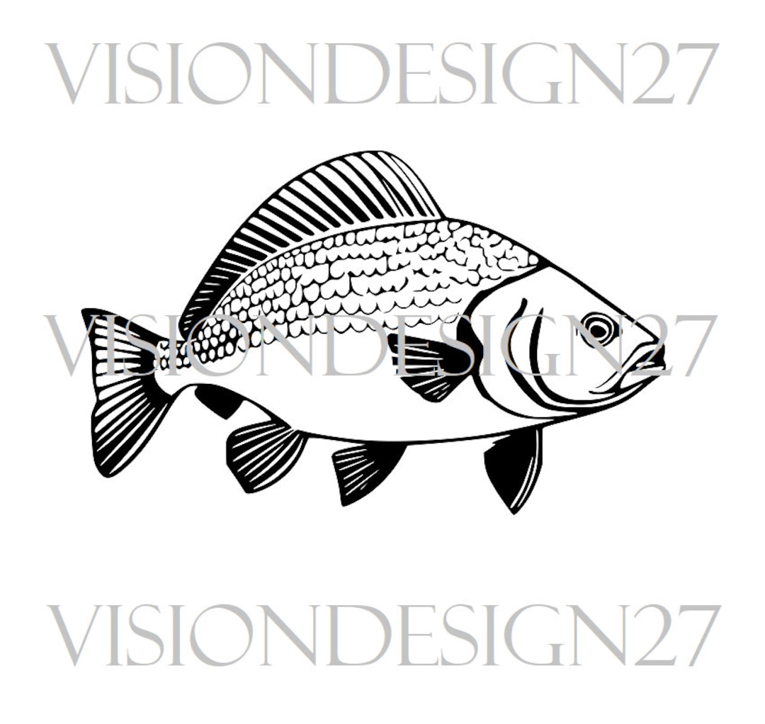 Carp V2 Graphics, Clipart Fish SVG Angler Vector, Fishing PNG, Fishing ...