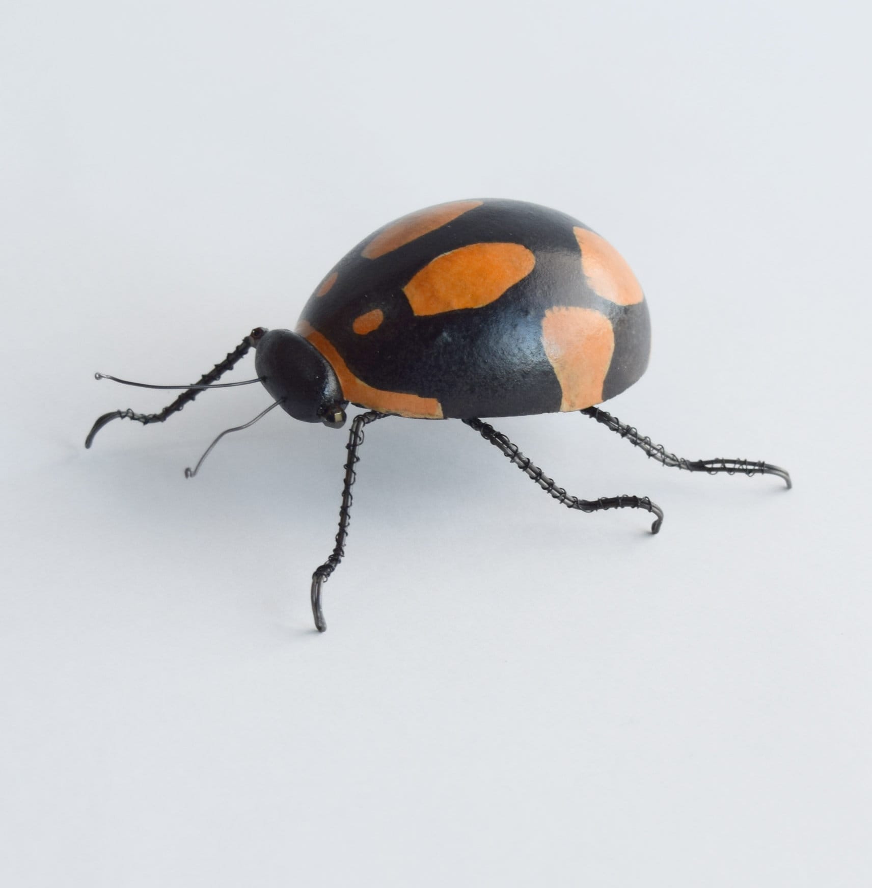 Beetle Insect Gourd Sculpture - Etsy