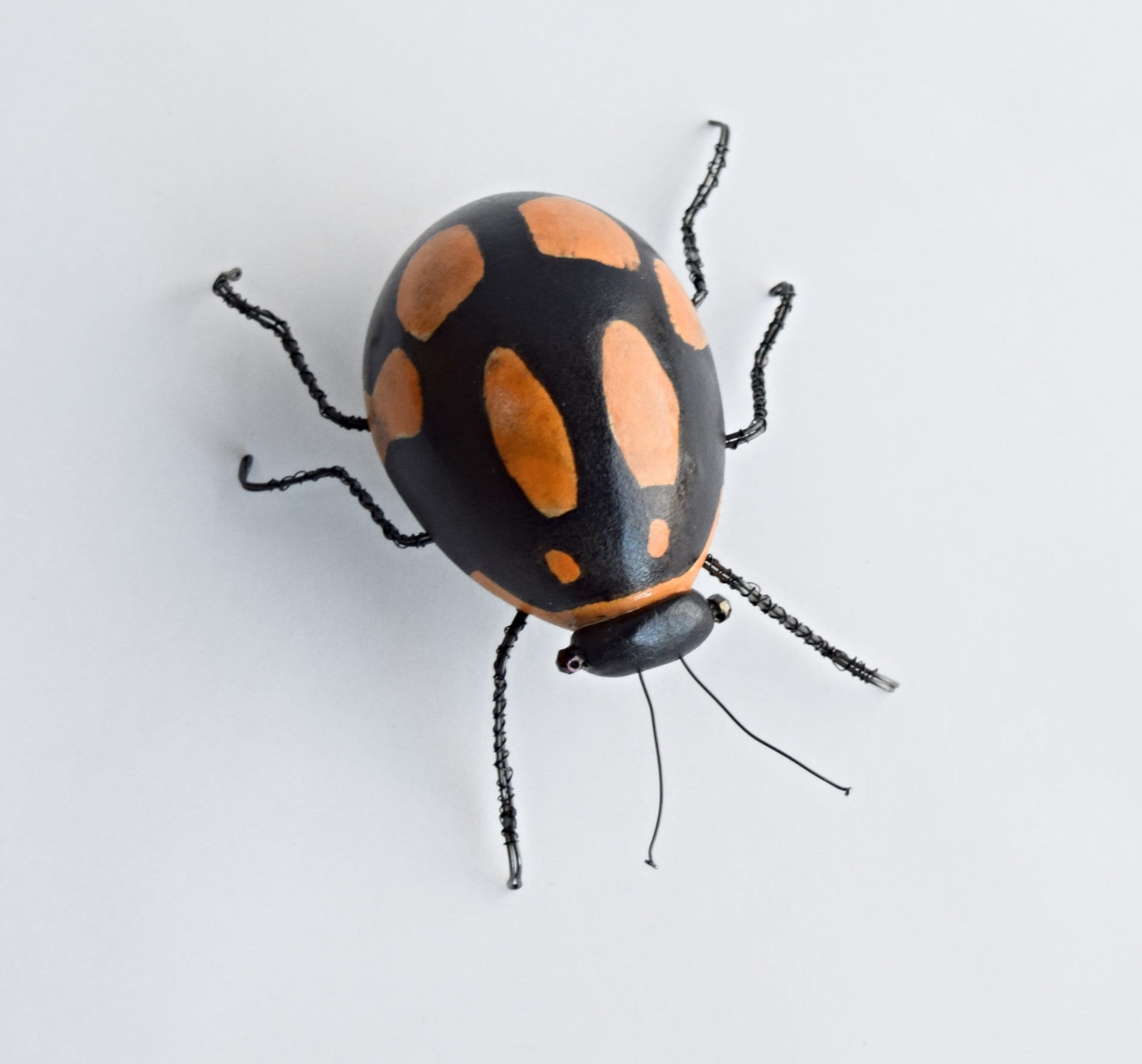 Beetle Insect Gourd Sculpture - Etsy
