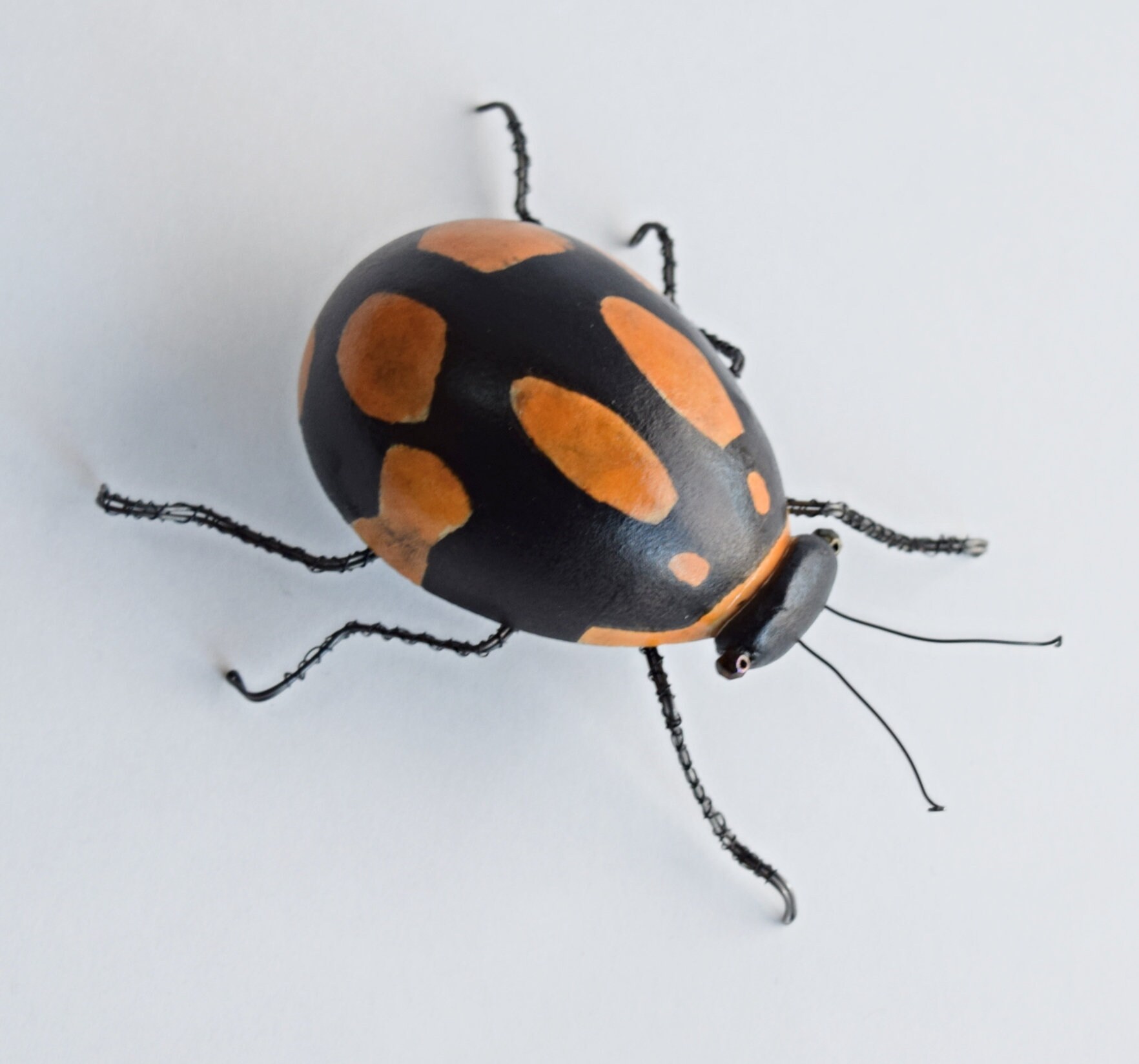 Beetle Insect Gourd Sculpture - Etsy