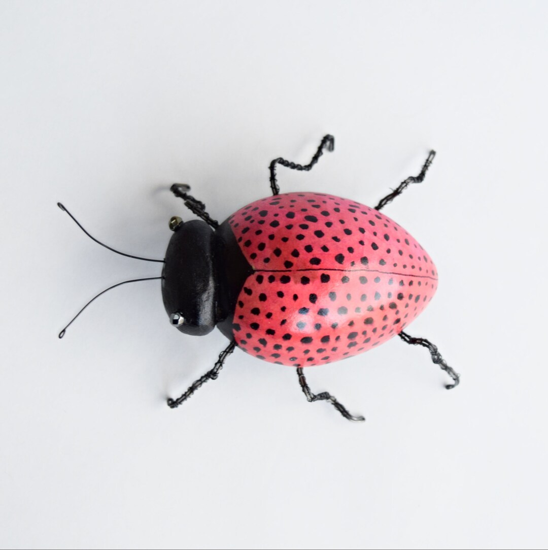 Beetle Insect Gourd Sculpture - Etsy