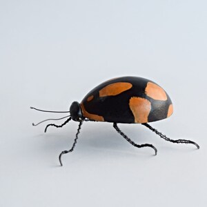 Beetle Insect Gourd Sculpture - Etsy