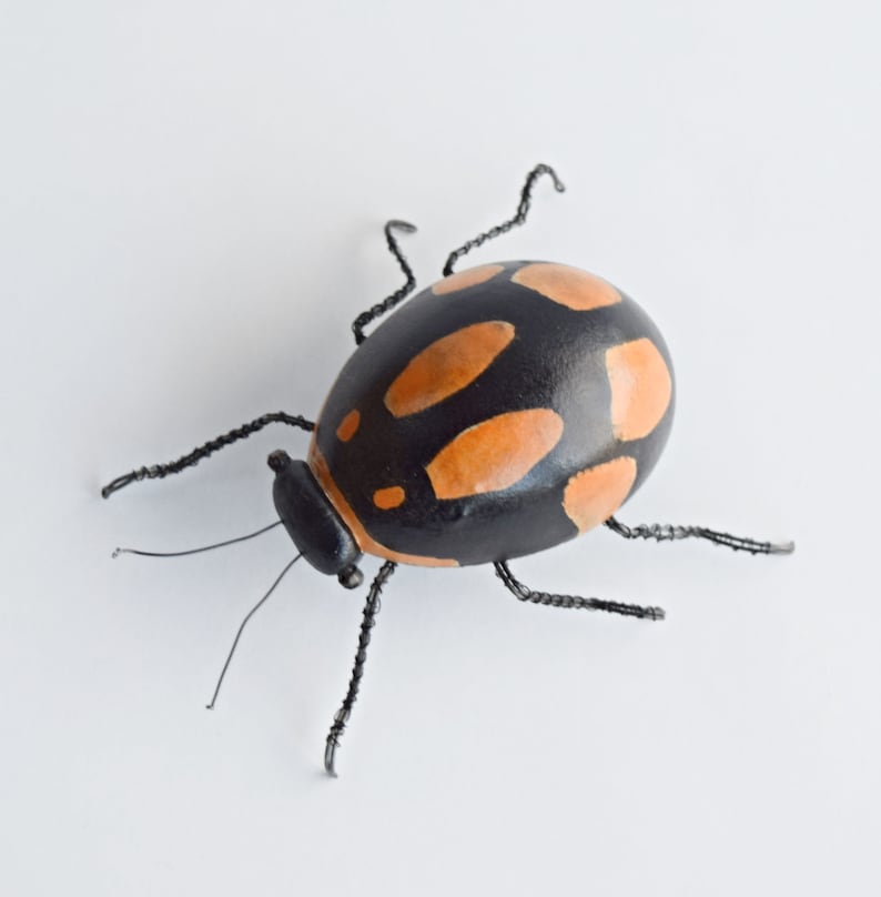 Beetle Insect Gourd Sculpture - Etsy