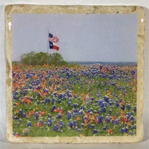 Texas Widflower Coasters - Etsy