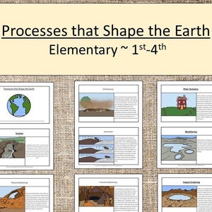 Parts of a Pinecone Science Botany Montessori Preschool Homeschooling ...