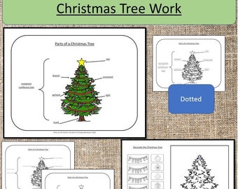 Parts of a Pinecone Science Botany Montessori Preschool Homeschooling ...