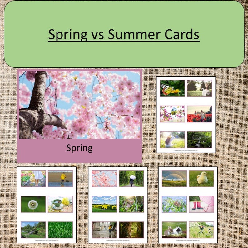 Spring Vs Summer Cards Montessori Seasonal Work Seasons - Etsy