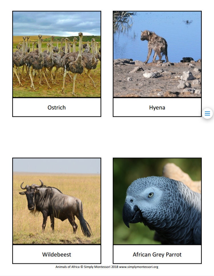 African Animal Identification Montessori, Waldorf, Reggio Homeschooling ...