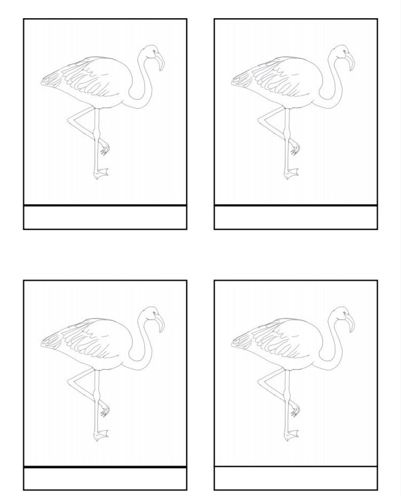 Parts of a Flamingo Summer Activity Three Part Cards Montessori ...