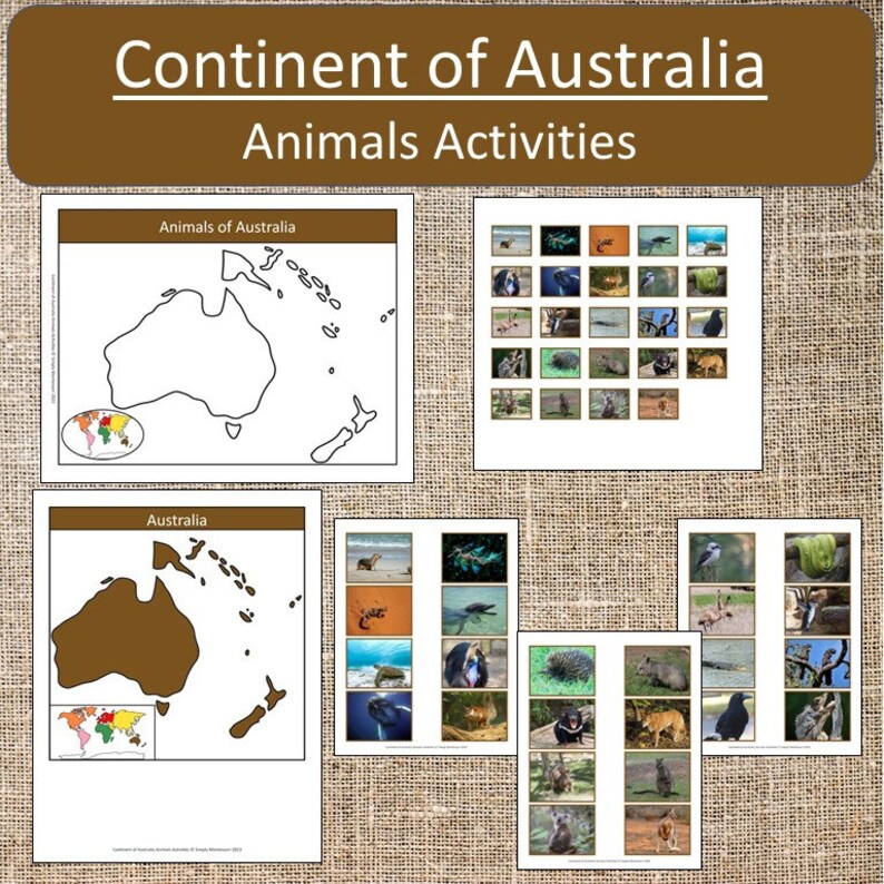 Continent of Australia Animals Activities Montessori Preschool - Etsy