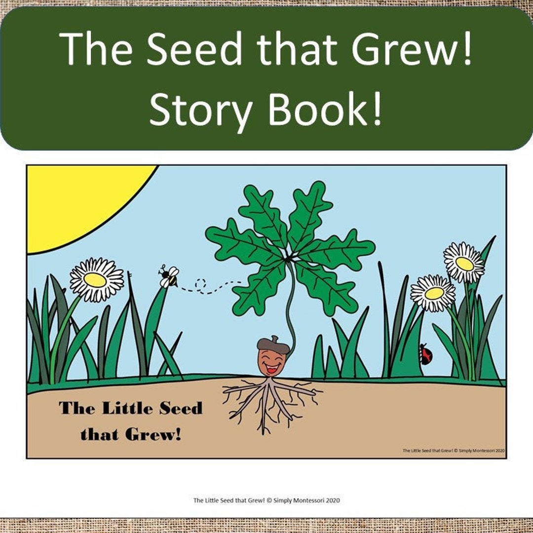 The Little Seed That Grew! Reading Book and Activities! Montessori ...