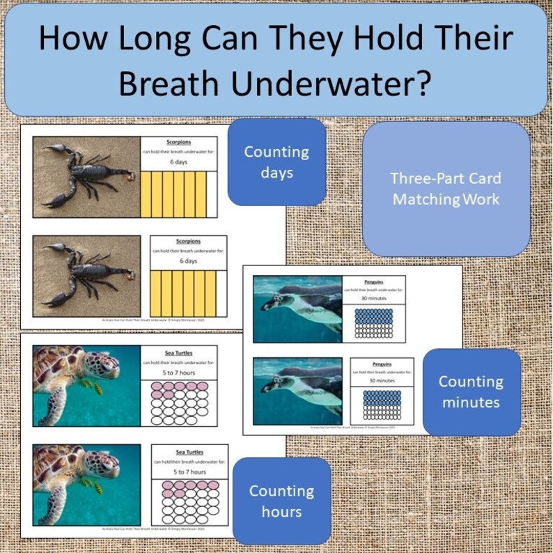 Animals That Can Hold Their Breath Underwater! Animal Study Activity - Etsy