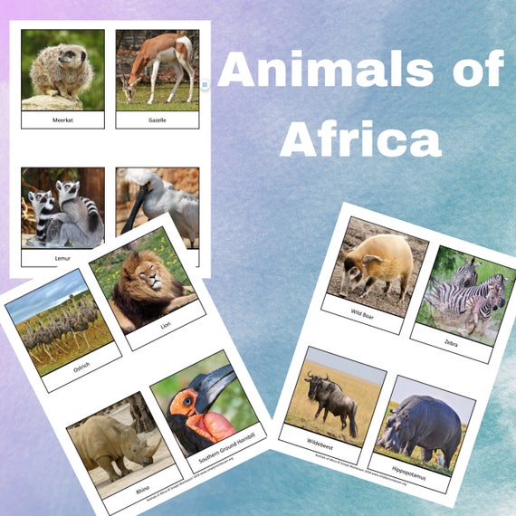 African Animal Identification Montessori Waldorf Reggio | Etsy