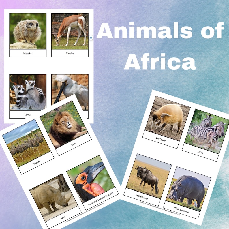 African Animal Identification Montessori, Waldorf, Reggio Homeschooling ...