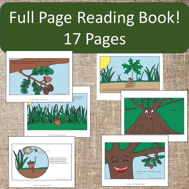 The Little Seed That Grew Reading Book and Activities | Etsy