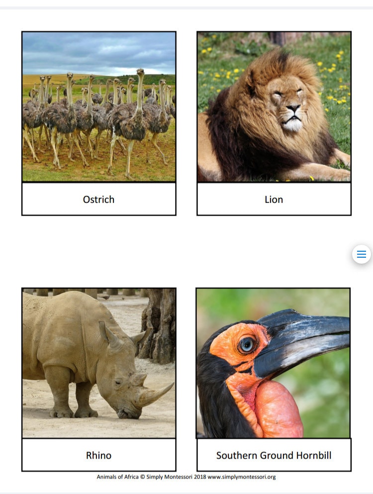 African Animal Identification Montessori, Waldorf, Reggio Homeschooling ...
