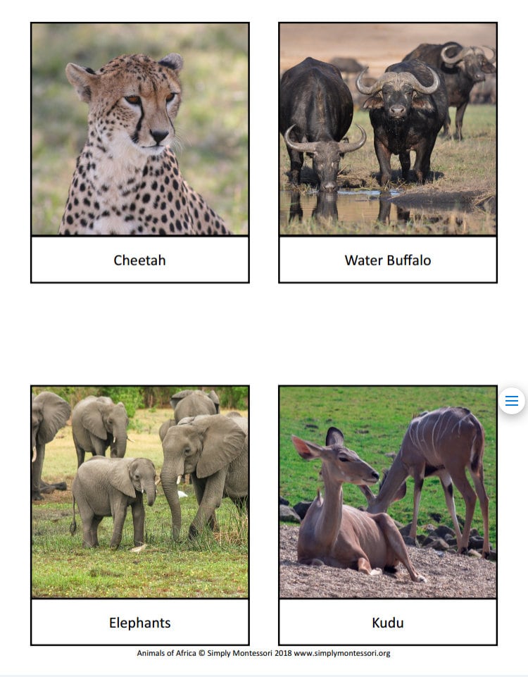 African Animal Identification Montessori, Waldorf, Reggio Homeschooling ...