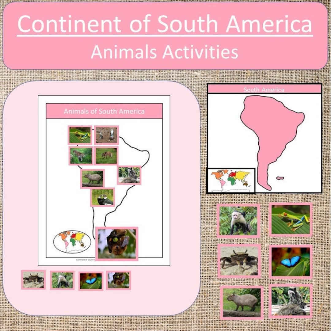 Continent of South America Animal Activities - Etsy