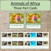 Continent of Africa Animals Activities Montessori Preschool Activities ...