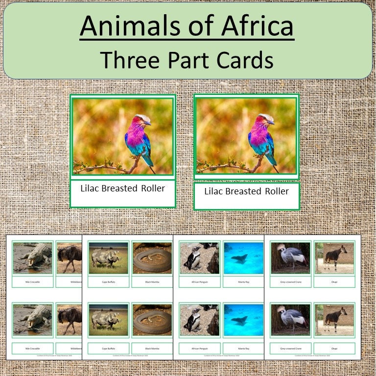 Continent of Africa Animals Activities Montessori Preschool Activities ...